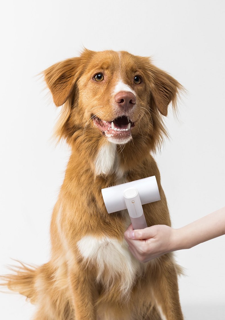 Grooming & Care – VOOCOO CA